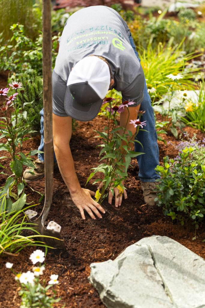 Winterization Guide 2025 | Landscape & Irrigation Tips